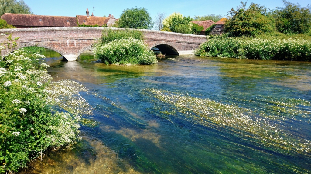May 2023: Partner focus - Wessex Rivers Trust - Wiltshire Chalk Partnership